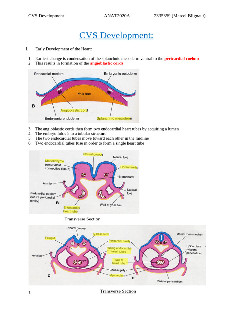 4) CVS Development Notes | PDF