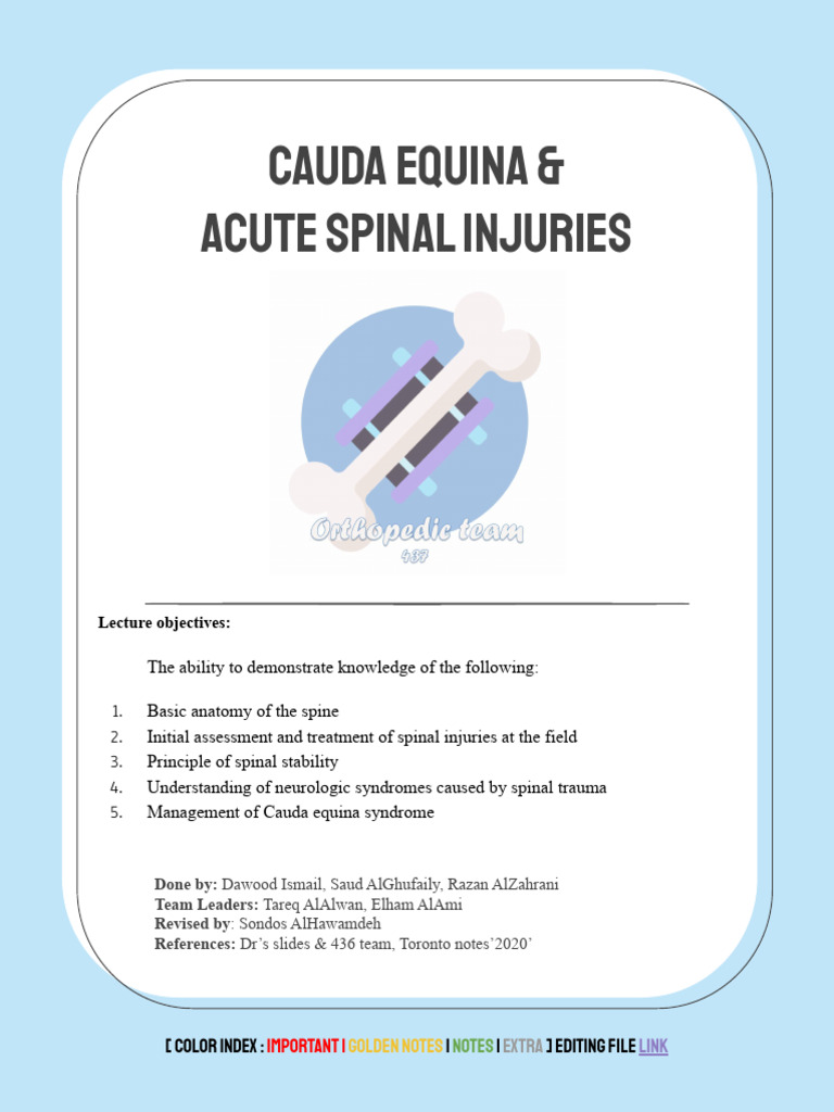 Cauda Equina & Acute Spinal Injuries | PDF
