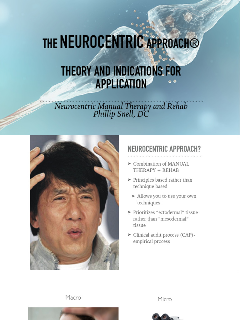 Neurocentric: THE Approach® Theory and Indications For Application | PDF