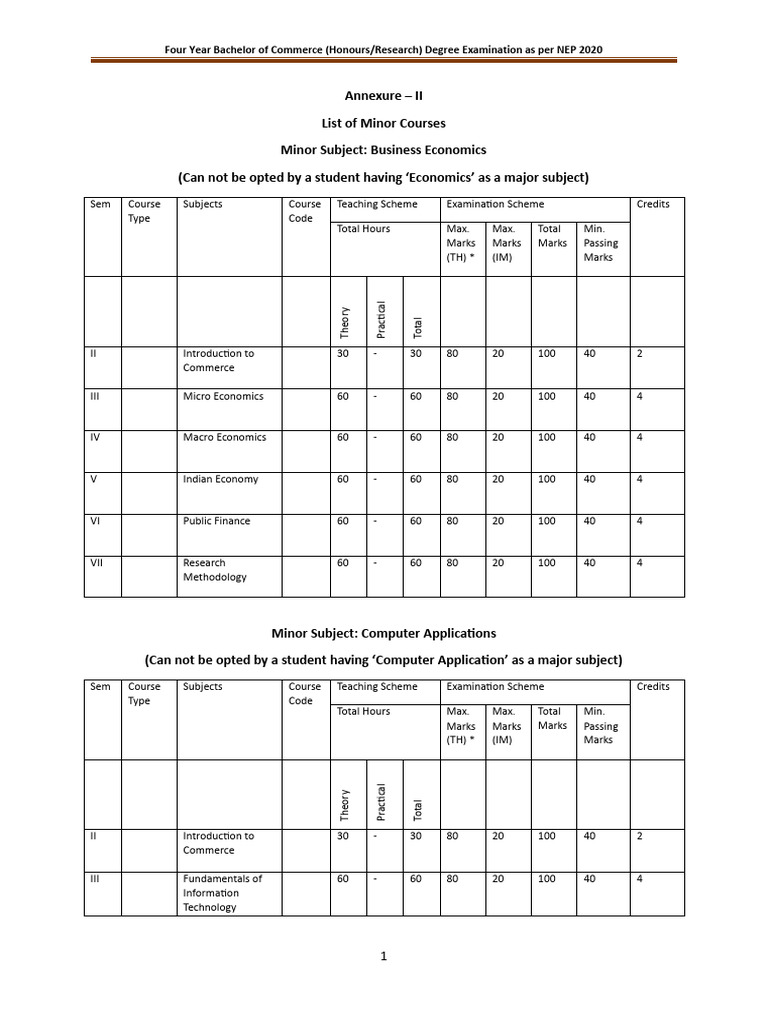 B Com Annexure II Minor - 2 | PDF