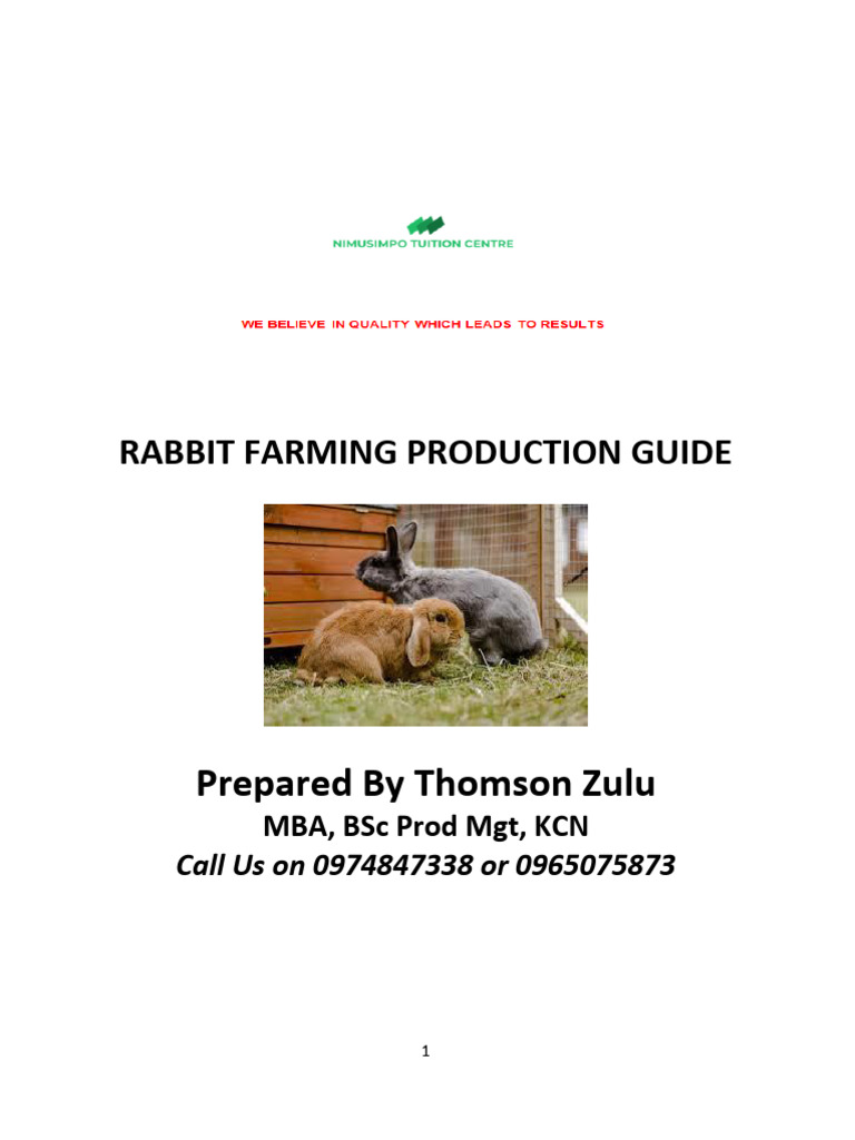 Rabbit Farming | PDF