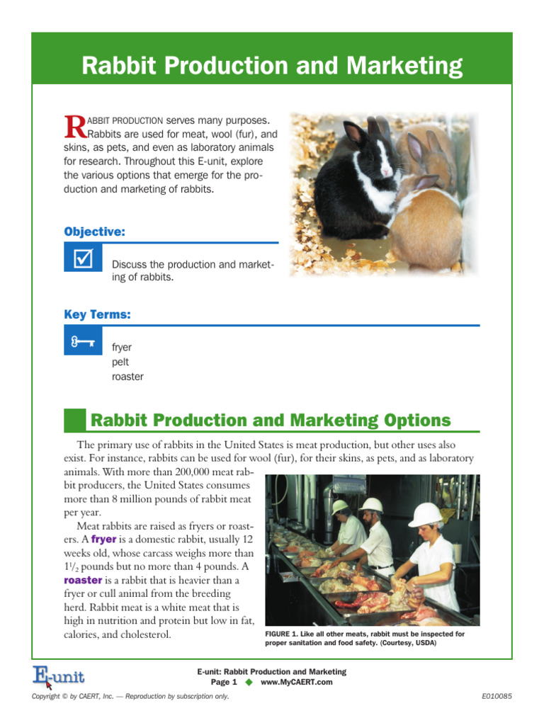 Rabbit Production and Marketing | PDF