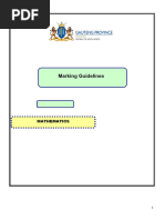 Platinum Social Sciences Geography Grade 7 Term 3 | PDF