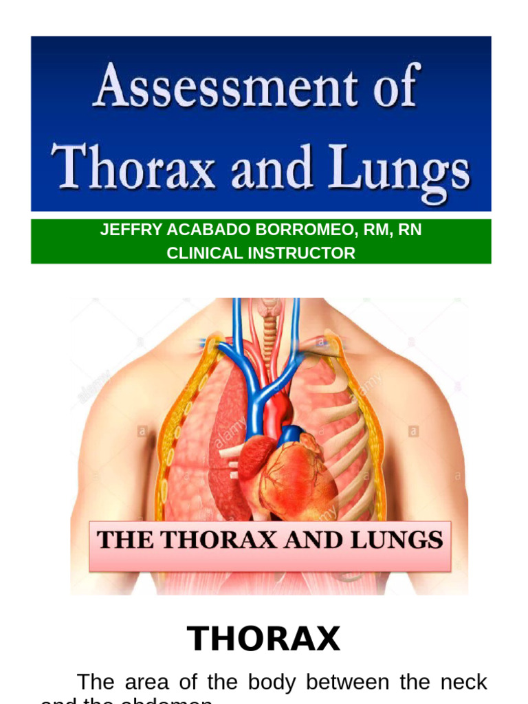 Thorax and Lungs Assessment | PDF | Thorax | Congenital Disorder