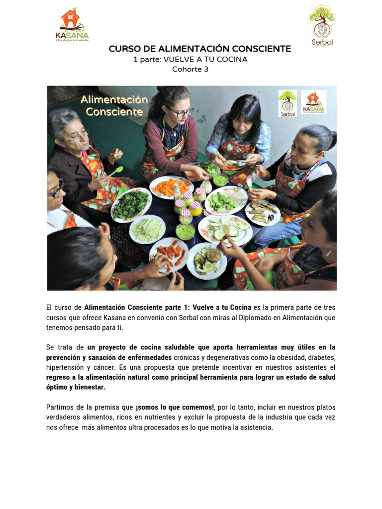 Programa Del Curso de Alimentación Consciente | PDF