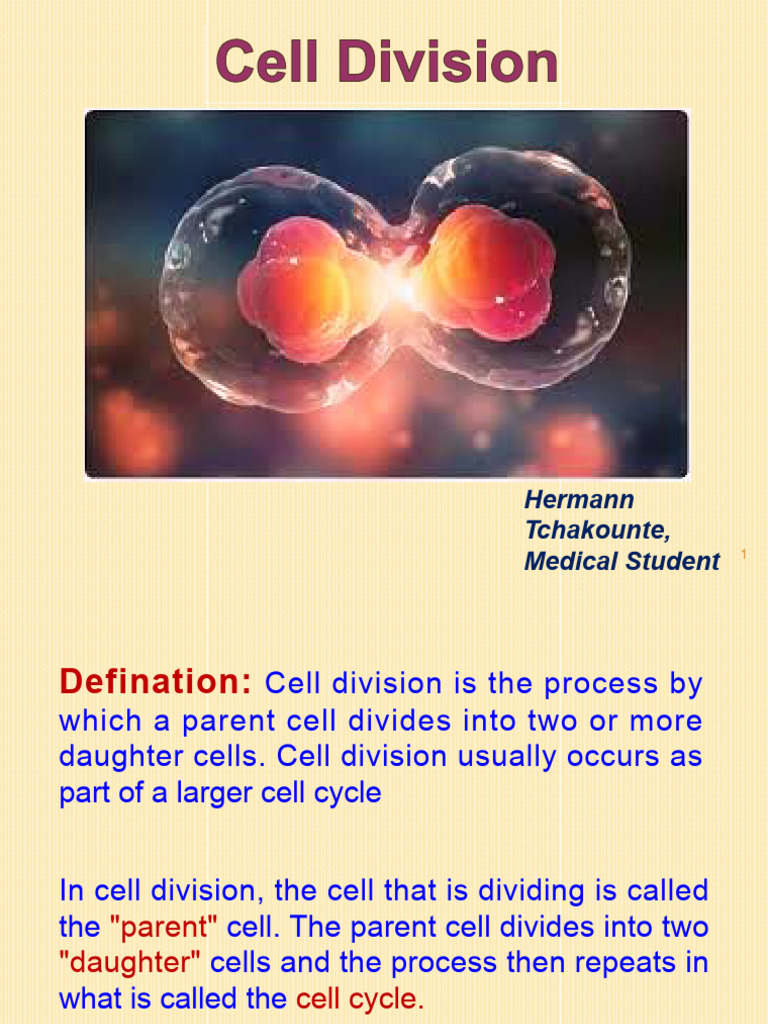 Cell Division | PDF