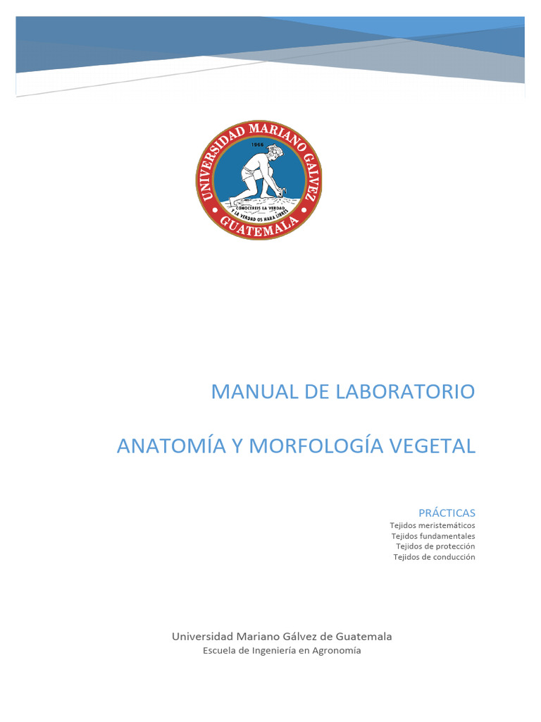 Manual - Anatomìa y Morfologìa Vegetal - 2024 | PDF