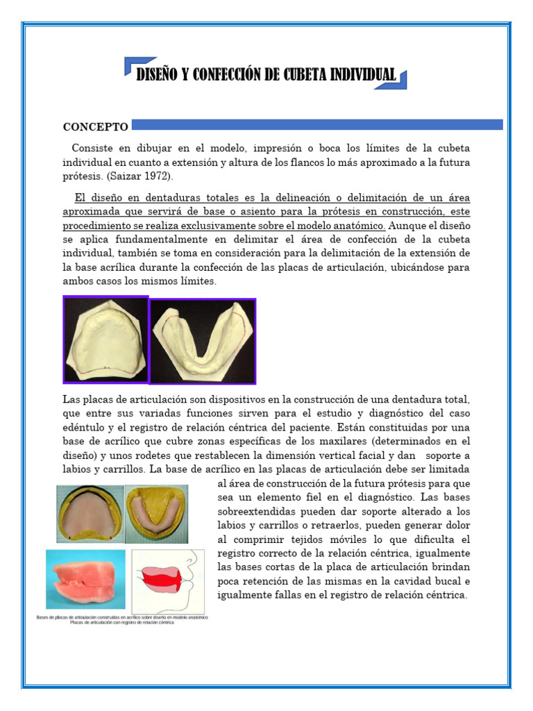 Diseño Y Confección De Cubeta Individual Pdf