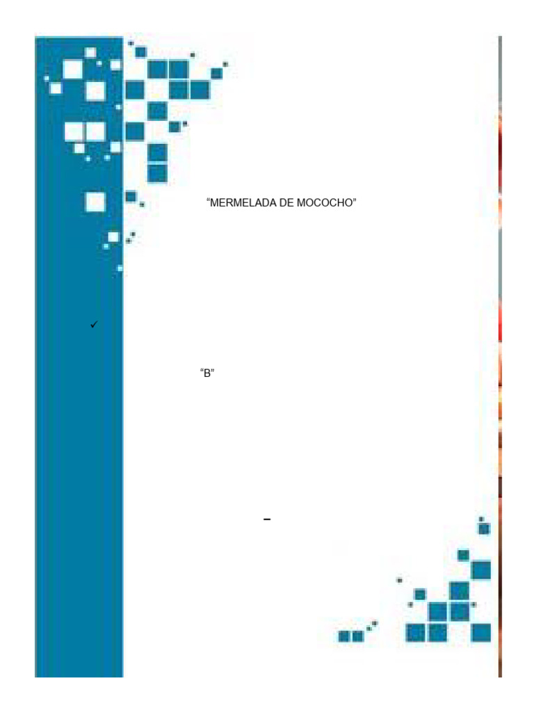 Mococho FINAL JARED | PDF