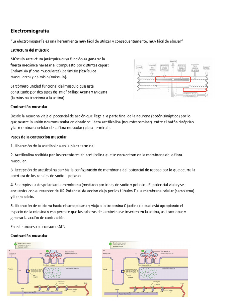 Electromiografia | PDF