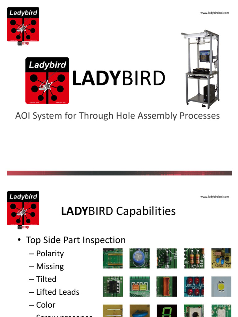 Ladybird System Introduction | PDF