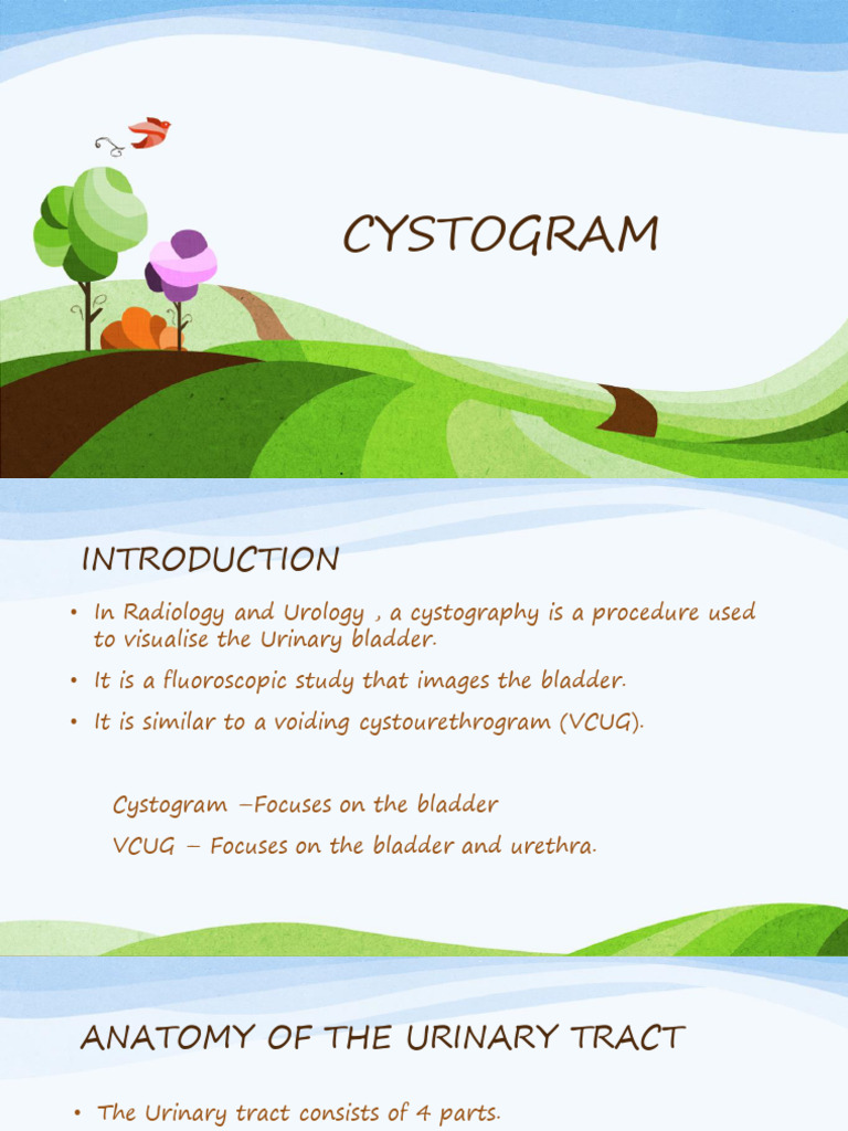 CYSTOGRAM | PDF