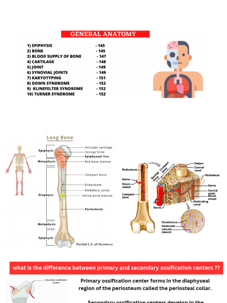 General Anatomy (MEERMIND) | PDF