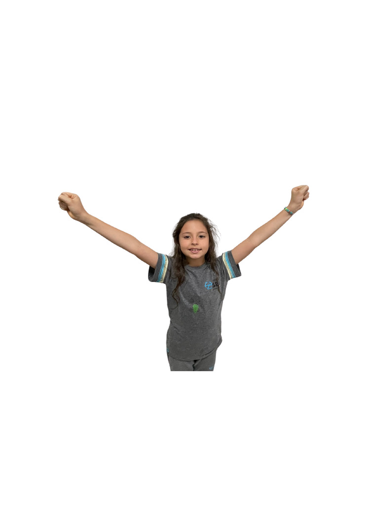 White and Gray Calligraphy Guideline Sheet Printable A3 Document | PDF