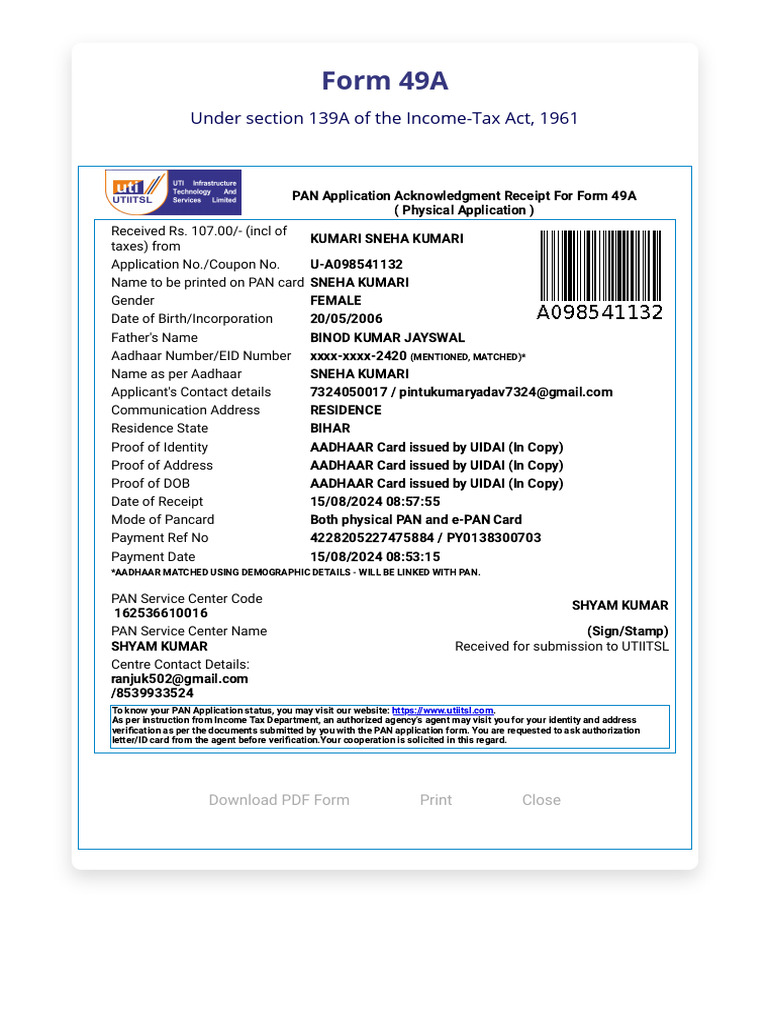 PANform | PDF