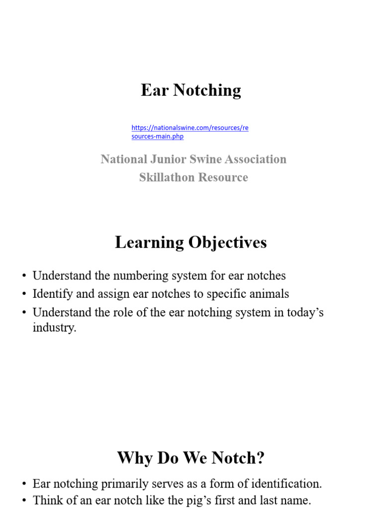 Ear Notching and Quiz | PDF