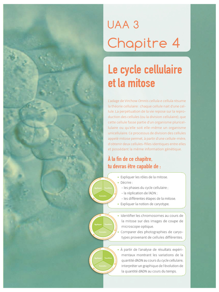 Experts Biologie 4 Sb Corrige Mitose Pdf