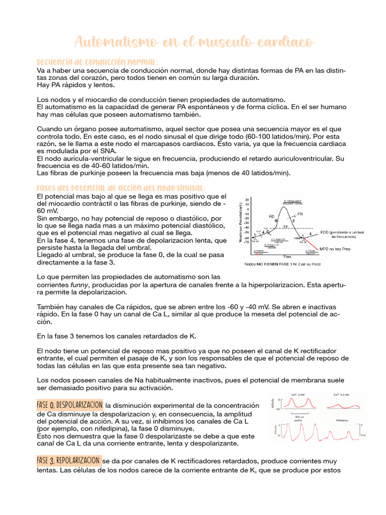 Automatismo en El Musculo Cardiaco | PDF | Potencial de acción ...
