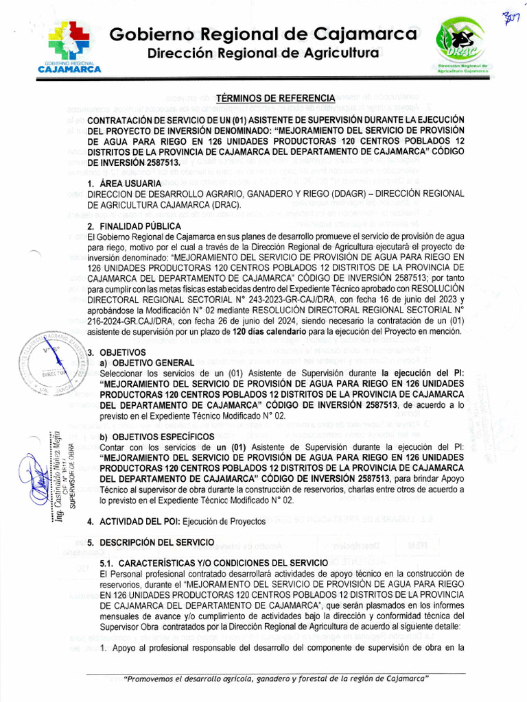 TDR - Asistente Supervisión | PDF