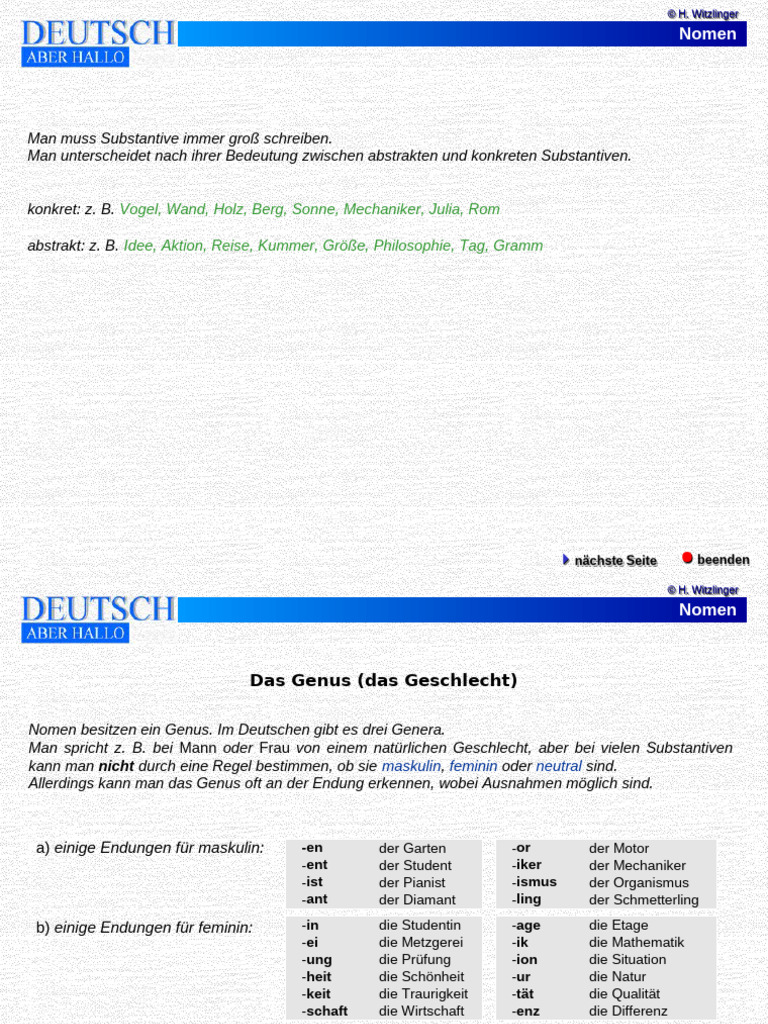 Thema Substantiv | PDF