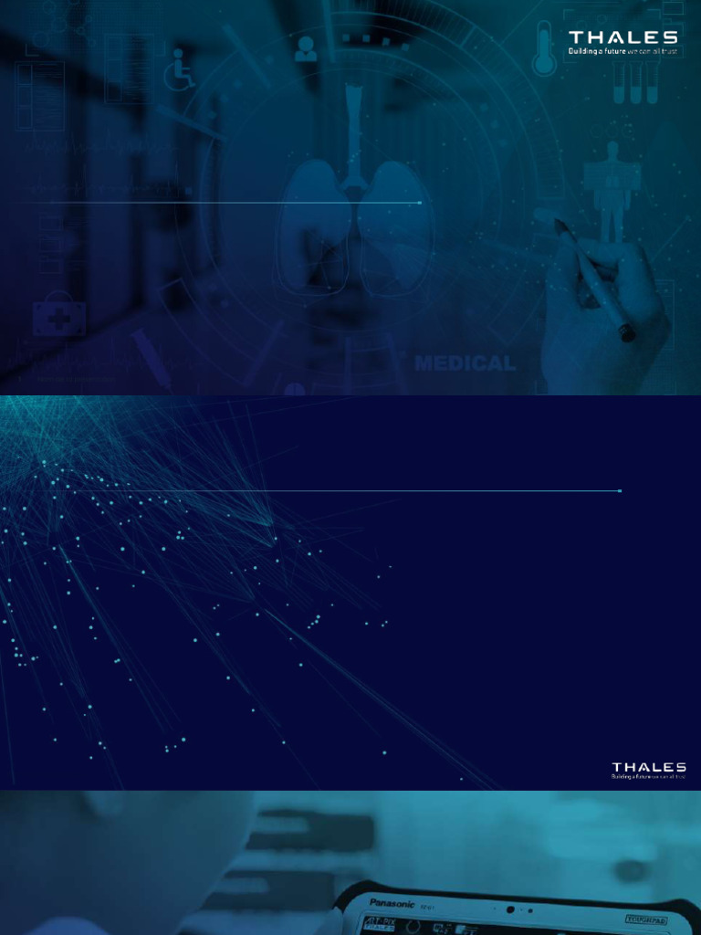 Thales Detectors1 PDF | PDF