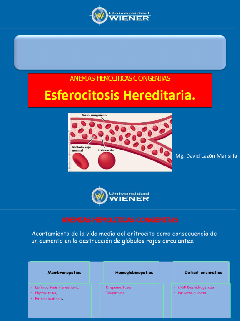 4.1 Anemia - Hemol - Hered. Esferocitosis H | PDF