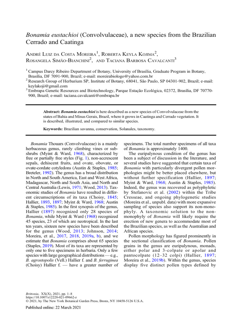 Bonamia Eustachioi (Convolvulaceae), A New Species From The Brazilian ...