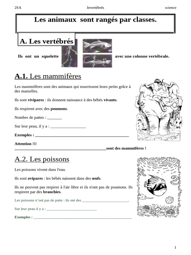 Classement Vertébrés Invertébrés | PDF