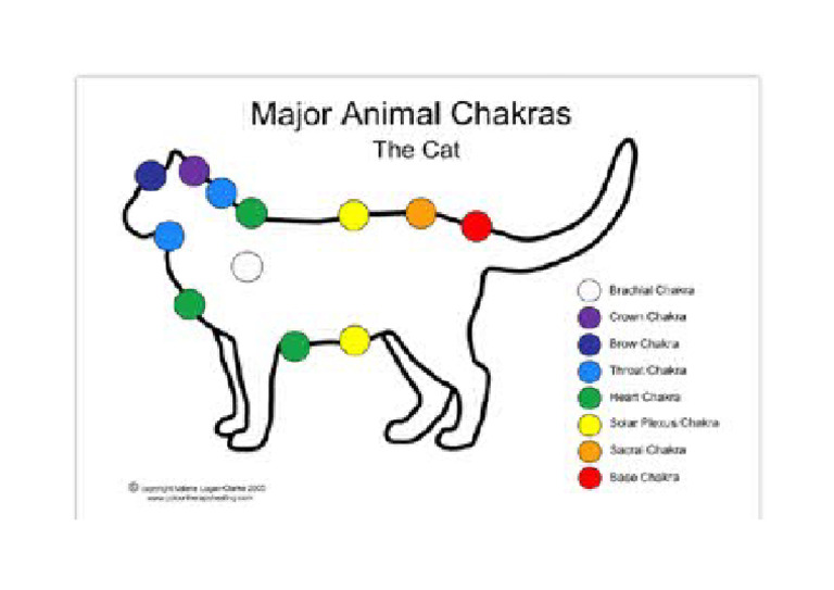 Cat Chakras Chart | PDF