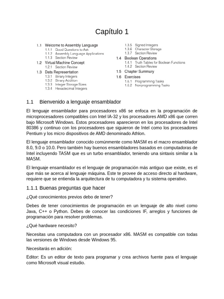 Resumen Capitulo 1 | PDF