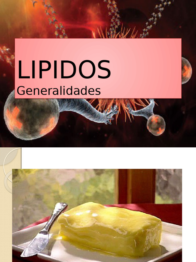 L Pidos | PDF