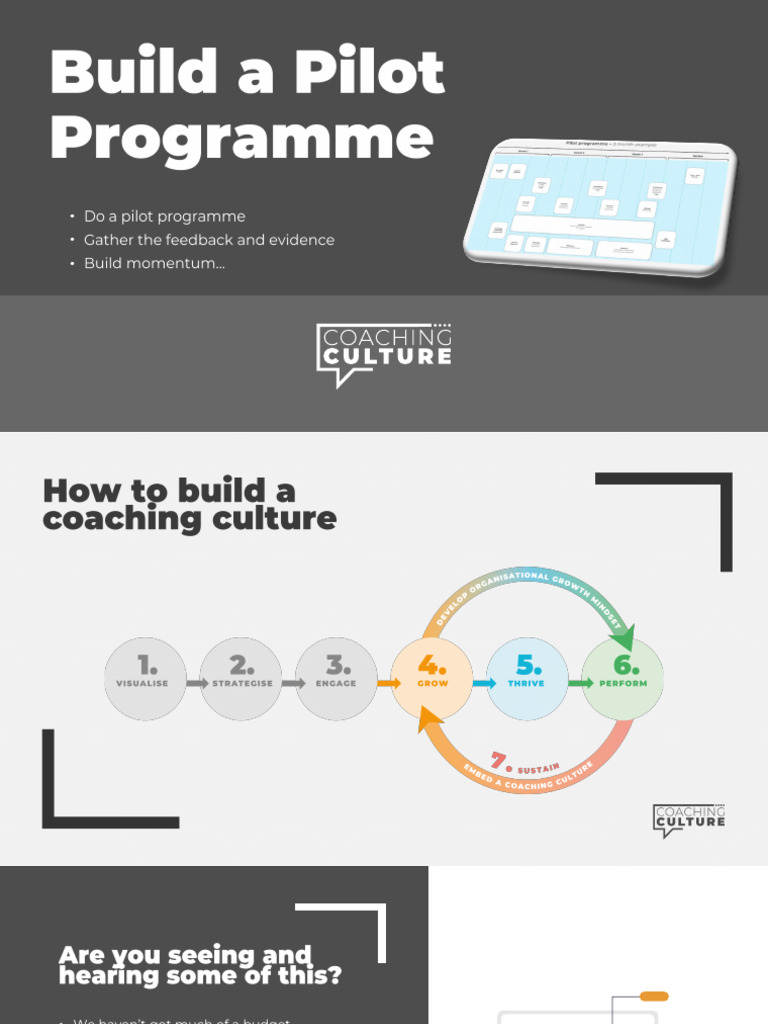 Pilot Programme - Pilot Programme | PDF