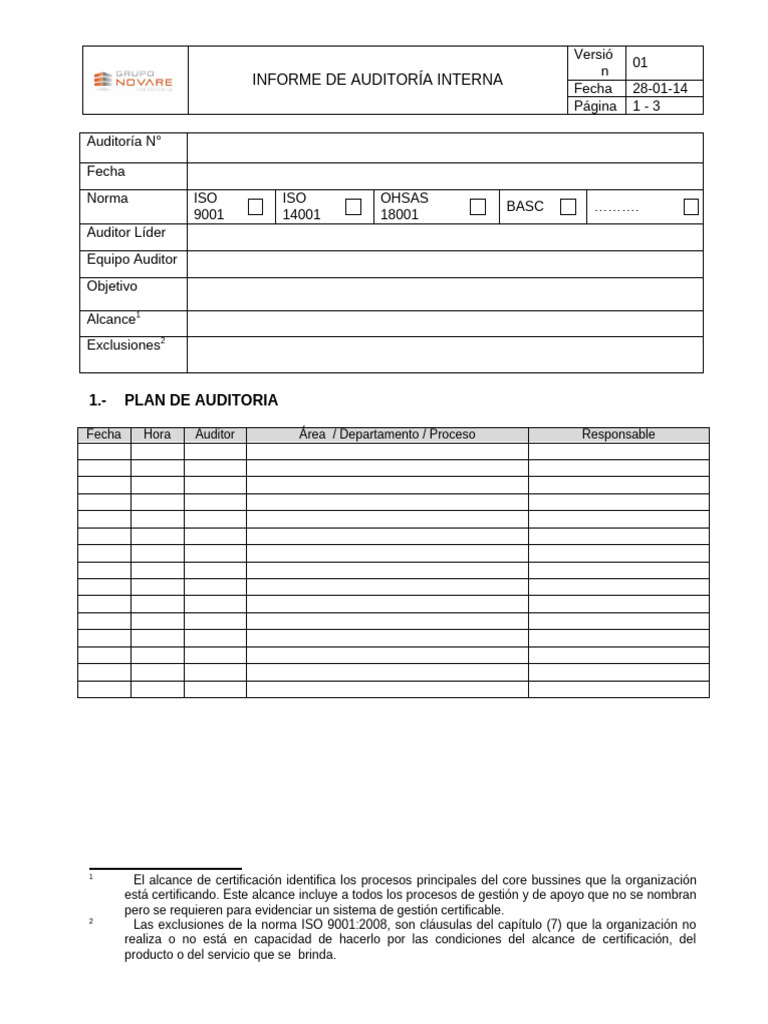 6 Informe de Auditoria Interna | PDF