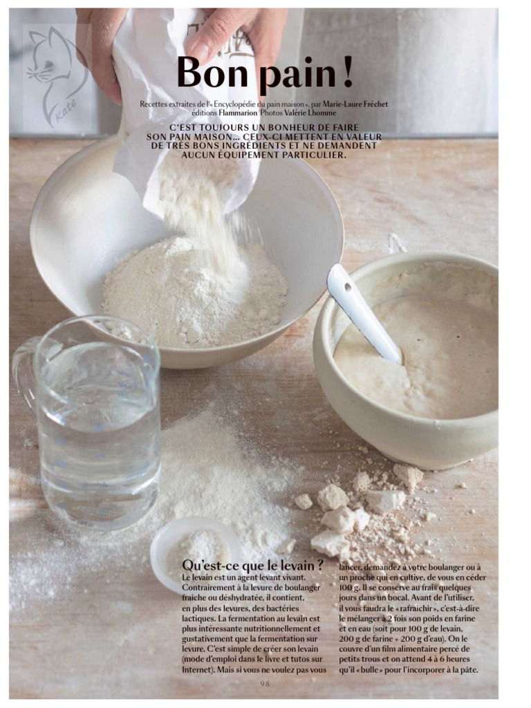 Recetas Panes | PDF