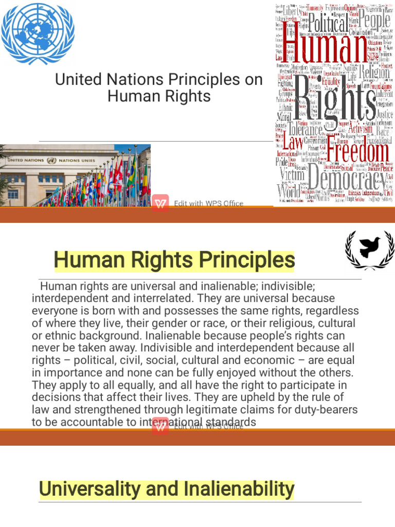 United Nations Principles On Human Rights | PDF