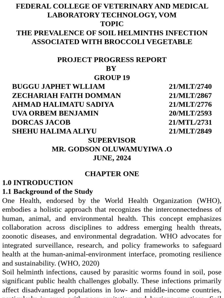 Group 19 Powerpoint Corrected Progress Report-1 | PDF Group 19 Powerpoint Corrected Progress Report-1 | PDF