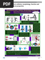Doha Agreement on Groin Pain in Athletes | PDF | Meta Analysis ...