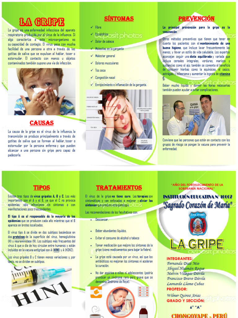 Triptico Gripe | PDF