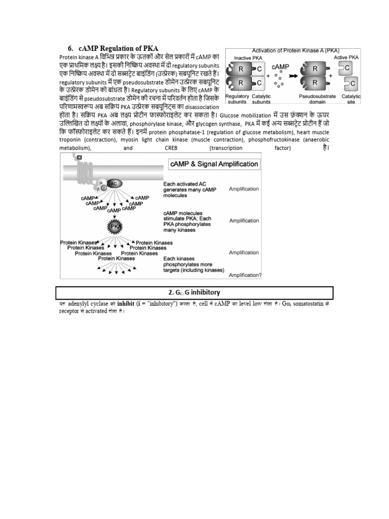 Cell Siganlling | PDF