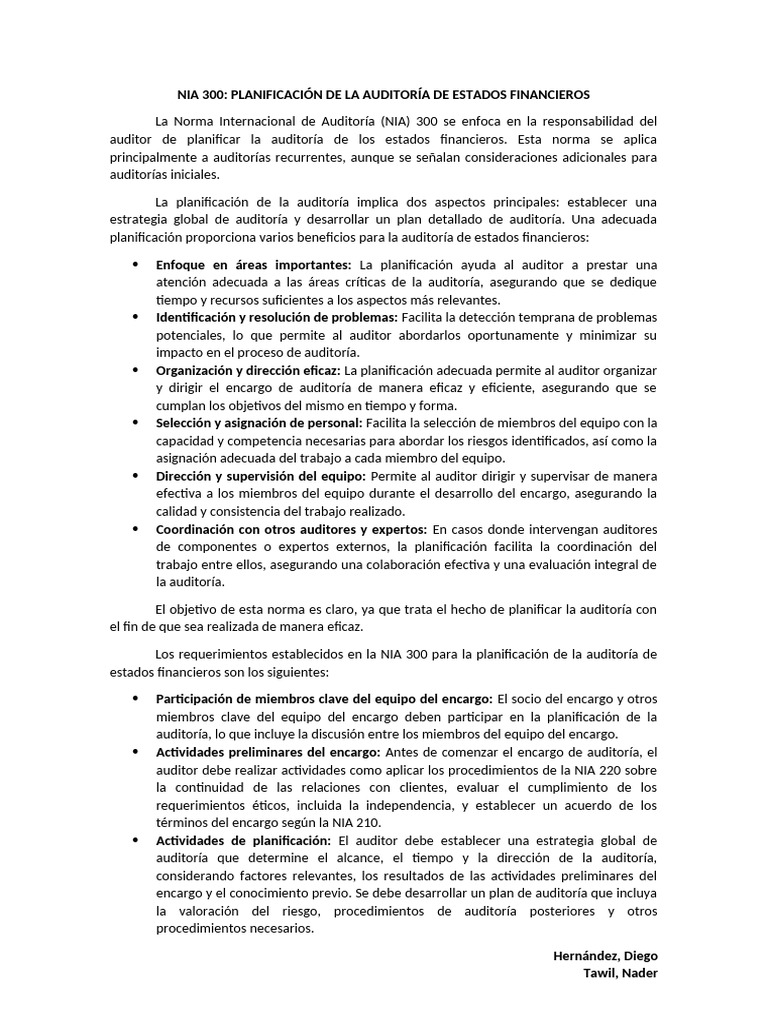 Resumen - NIA 300 | PDF