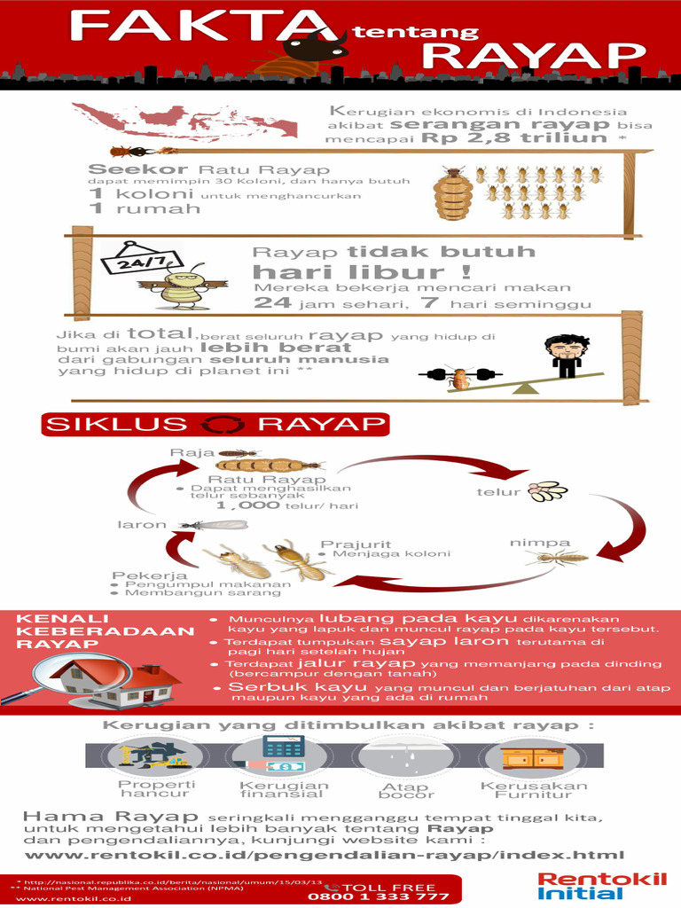 Infografis Fakta Tentang Rayap - Id | PDF