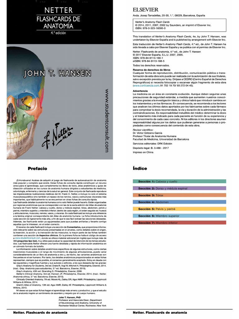 Flashcards Netter | PDF