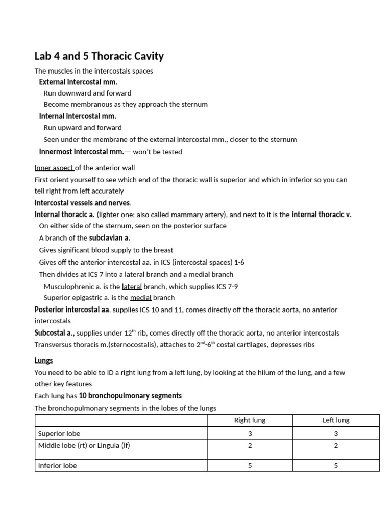 2023 Lab 4 and 5 Thoracic cavity (pre med) | PDF 2023 Lab 4 and 5 Thoracic cavity (pre med) | PDF