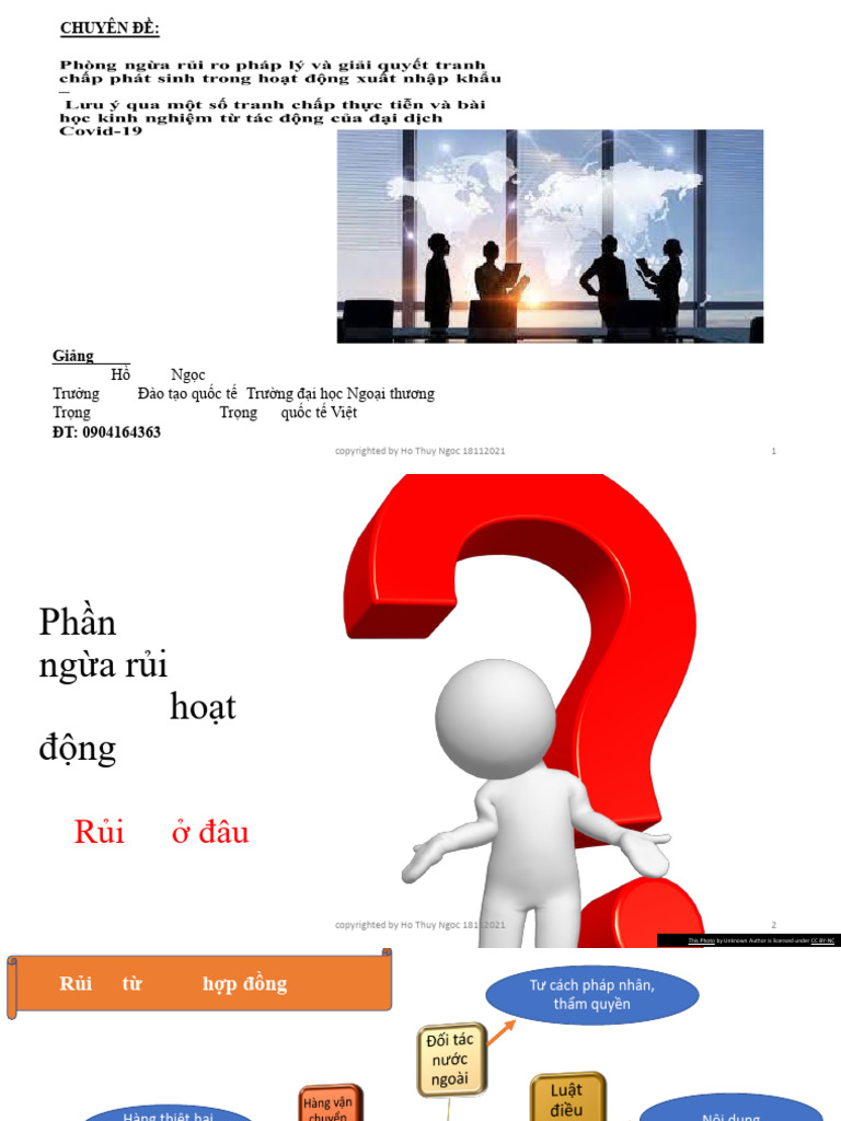 Phong Ngua Rui Ro HD Xuat Nhap Khau | PDF