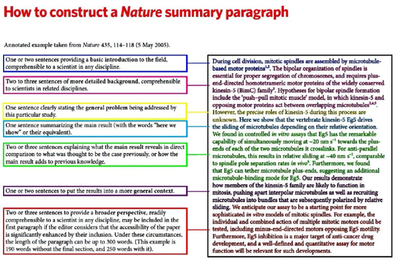 How To Construct A Nature Summary Paragraph: Promn | PDF