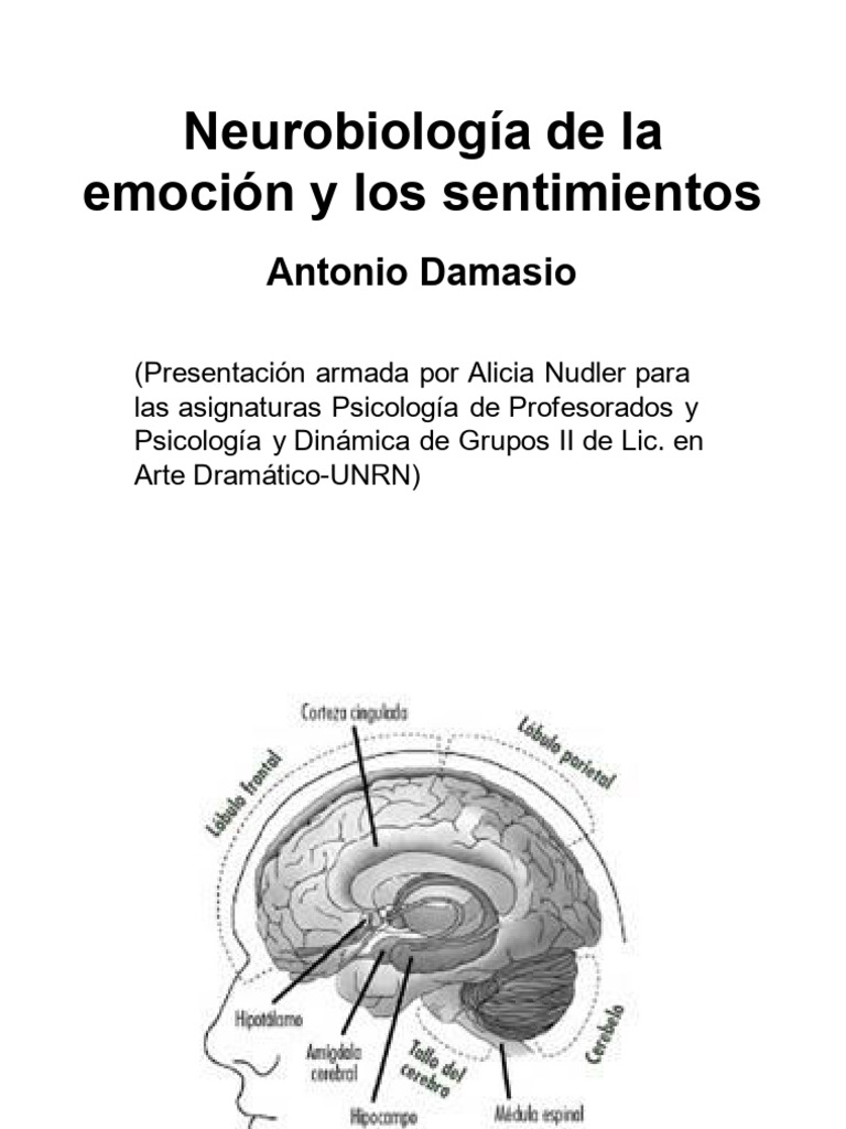 Damasio_Neurobiología de las emociones y los sentimientos-Damasio | PDF