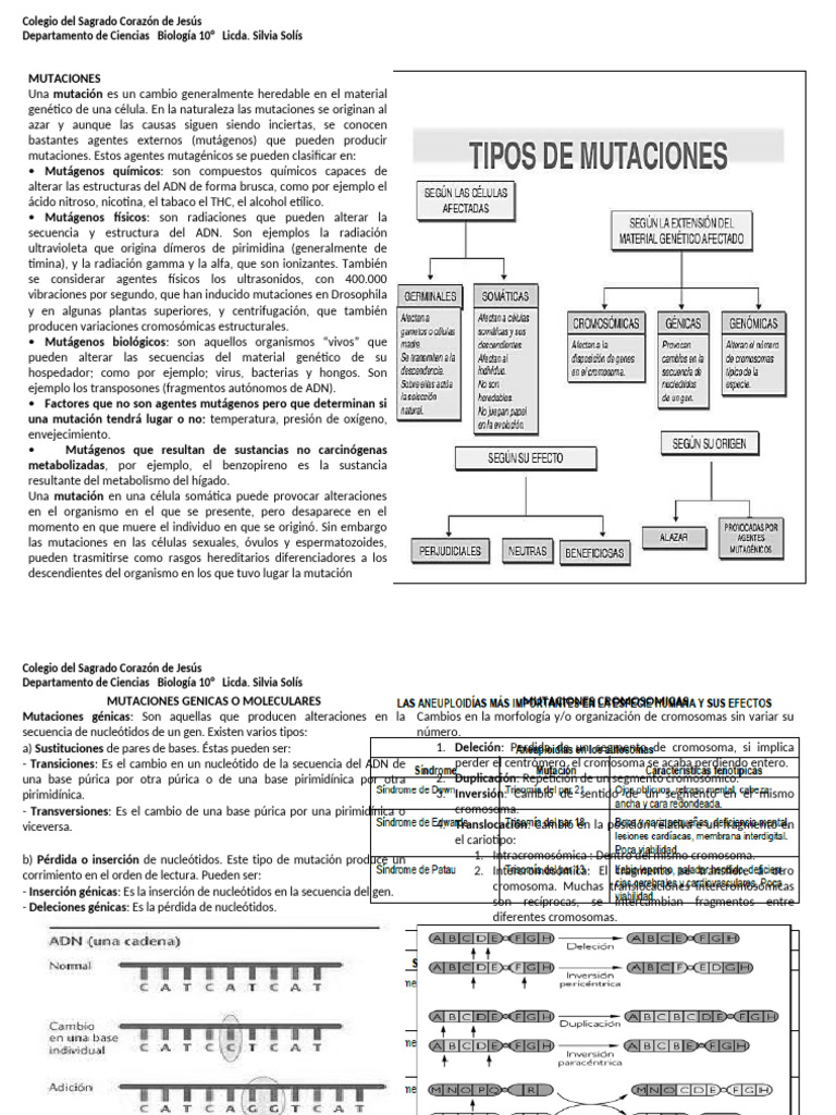 Mutaciones 10 | PDF