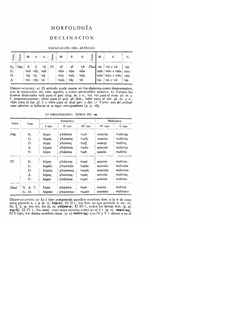 Declinacion Articulo | PDF