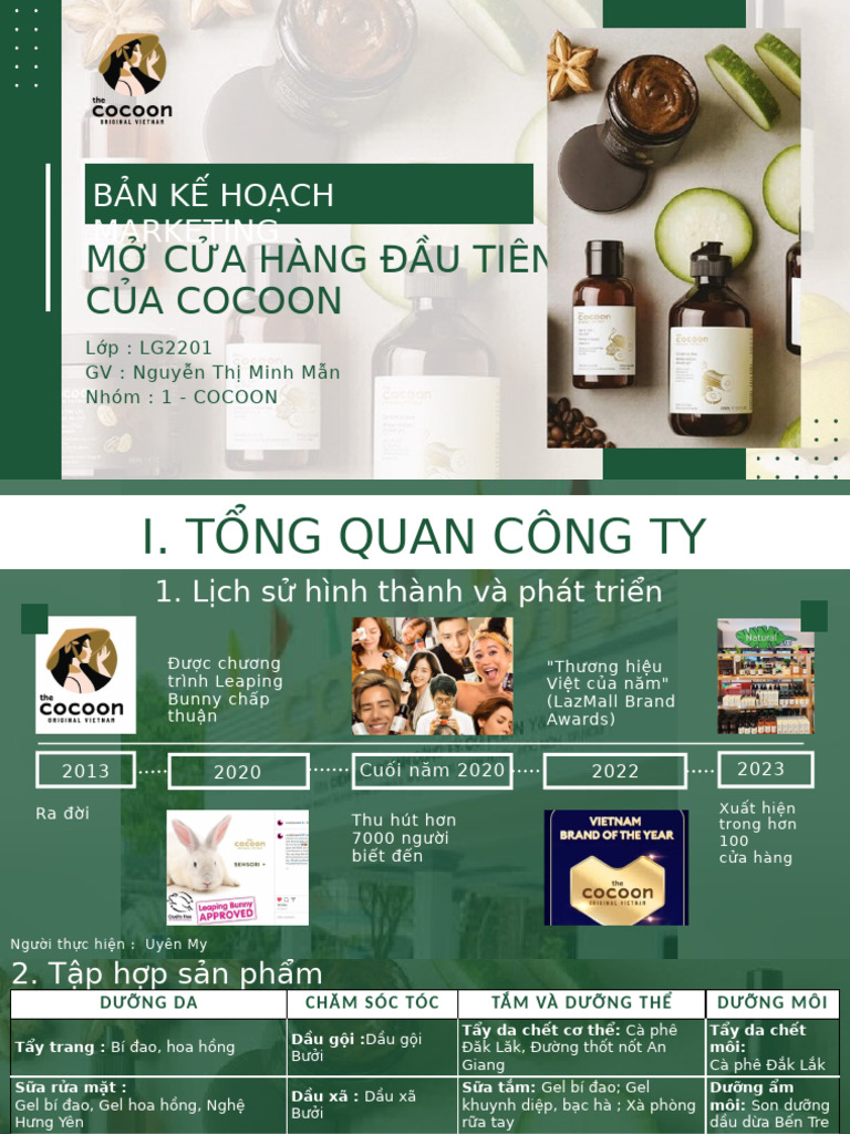 1 COCOON Powerpoint | PDF