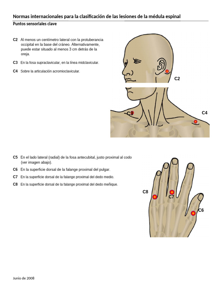 Key Sensory Points-ASIA 1-Es | PDF